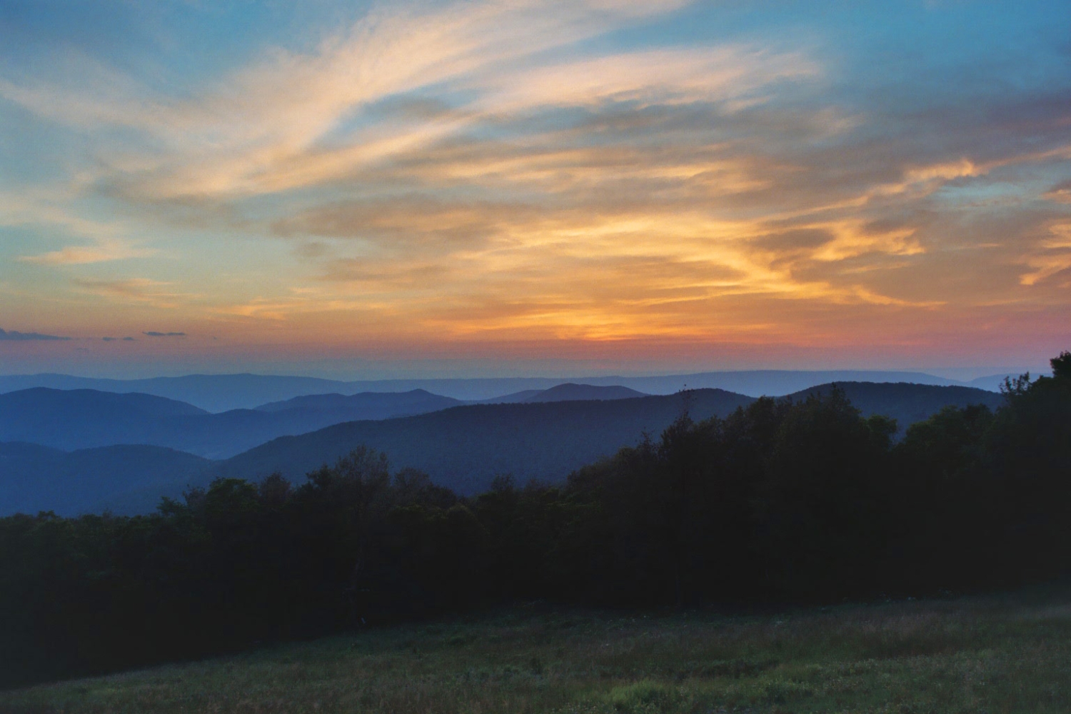 The Community Foundation of Harrisonburg