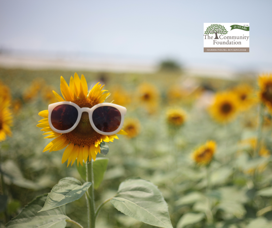 Six for the summer: Mid-year reminders about charitable giving - The ...